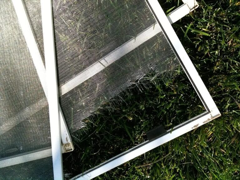 Best Brisbane Fly Screen Repairs